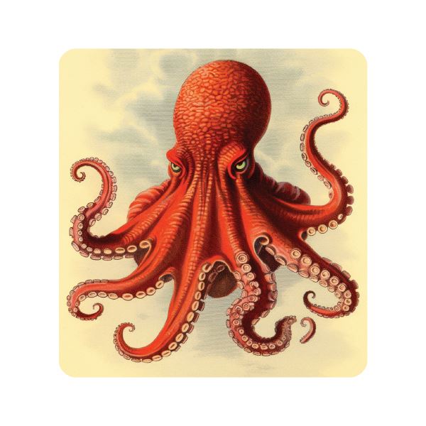 Kraken Octopus Sticker