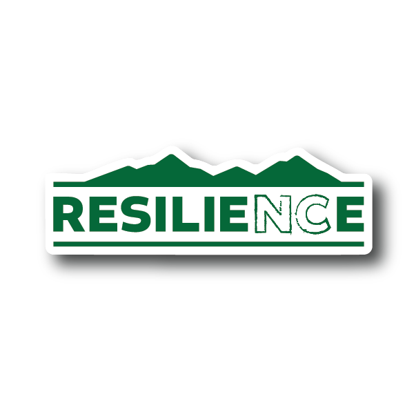 RESILIENCE NC Hurricane Relief Sticker